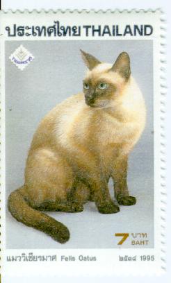 SIAMESE